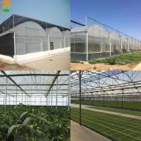 China Customized Length Multi-Span Film Greenhouse for and Durability in Large-Scale Farming for sale