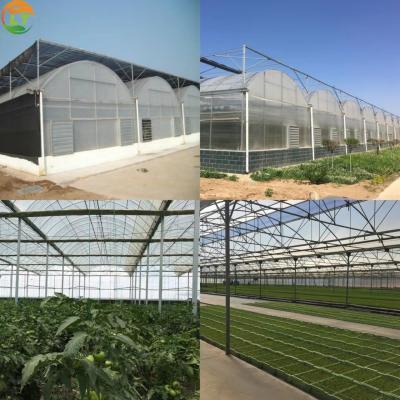 China Customized Length Multi-Span Film Greenhouse for and Durability in Large-Scale Farming for sale