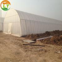China Small Single-Span Agricultural Greenhouses The Perfect Fit for Backyard Planting for sale