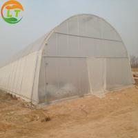 China Small Single-Span Agricultural Greenhouses The Perfect Fit for Backyard Planting for sale