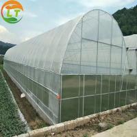 China Small Single-Span Agricultural Greenhouses The Perfect Fit for Backyard Planting for sale