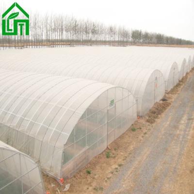 China Ventilated Greenhouse Stable Structure and Sides Top Ventilation for Agriculture for sale