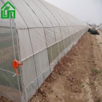 China Ventilated Greenhouse Stable Structure and Sides Top Ventilation for Agriculture for sale
