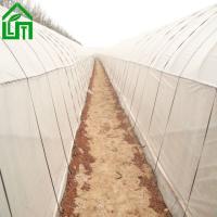 China Ventilated Greenhouse Stable Structure and Sides Top Ventilation for Agriculture for sale