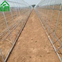 China Ventilated Greenhouse Stable Structure and Sides Top Ventilation for Agriculture for sale