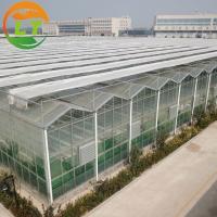 China Multi-Span Agricultural Greenhouses with Hot-Dip Galvanized Steel and Smart System for sale