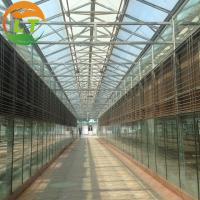 China Multi-Span Agricultural Greenhouses with Hot-Dip Galvanized Steel and Smart System for sale