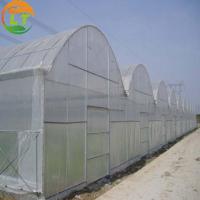 China Multi-Crop Hydroponic Film Greenhouse Width 8m or Customized Height 3m or Customized for sale