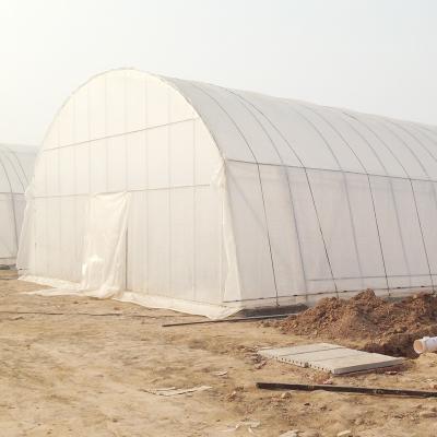 China 8m Span Greenhouse for Cultivation on Small Agriculture Farms and Farming for sale