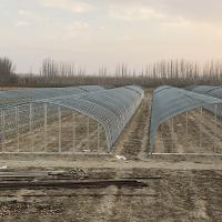 China 8m Span Greenhouse for Cultivation on Small Agriculture Farms and Farming for sale