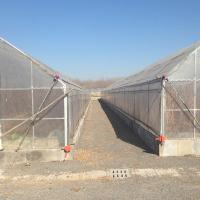 China 8m Span Greenhouse for Cultivation on Small Agriculture Farms and Farming for sale