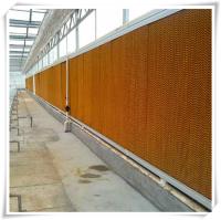 China Large Multi-Span Glass Greenhouse with Hot-Dip Galvanized Skeleton and Control System for sale