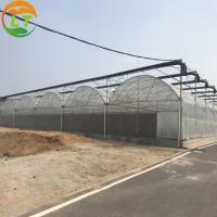 China LiTai Greenhouse Multi-Span Film Agriculture Greenhouse with Steel Frame Construction for sale