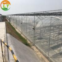 China LiTai Greenhouse Multi-Span Film Agriculture Greenhouse with Steel Frame Construction for sale