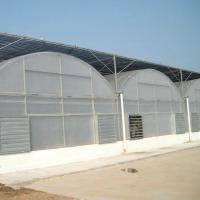 China LiTai Greenhouse Multi-Span Film Agriculture Greenhouse with Steel Frame Construction for sale