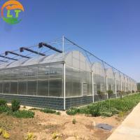 China Multi-Span Film Agricultural Greenhouse Gutter Height 3-6m Automatic Controlling System for sale