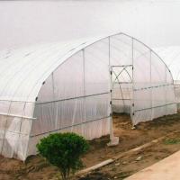 China Stable Structure Tunnel Greenhouse for Vegetable Fruits Flowers in Ghana Easy Assembly for sale