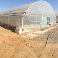 China Stable Structure Tunnel Greenhouse for Vegetable Fruits Flowers in Ghana Easy Assembly for sale