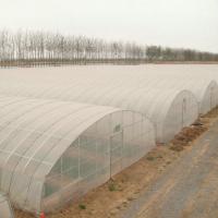 China Stable Structure Tunnel Greenhouse for Vegetable Fruits Flowers in Ghana Easy Assembly for sale