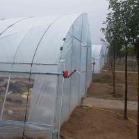 China Stable Structure Tunnel Greenhouse for Vegetable Fruits Flowers in Ghana Easy Assembly for sale