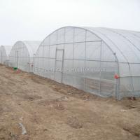 China Stable Structure Tunnel Greenhouse for Vegetable Fruits Flowers in Ghana Easy Assembly for sale