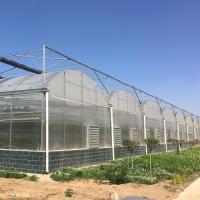 China Automatic Agricultural Multi-Span Film Greenhouses with Cooling Pad and Exhaust Fans for sale