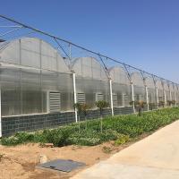 China Automatic Agricultural Multi-Span Film Greenhouses with Cooling Pad and Exhaust Fans for sale