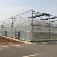 China Automatic Agricultural Multi-Span Film Greenhouses with Cooling Pad and Exhaust Fans for sale