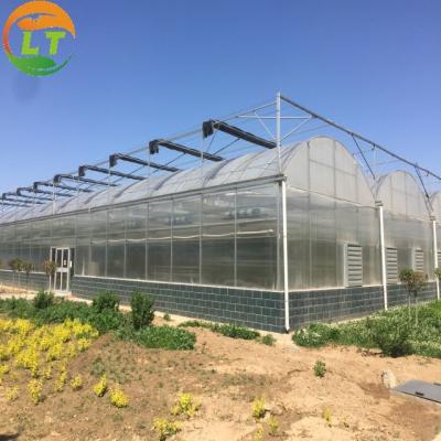 China Multi-Span Film Chinese Greenhouses Agricultural Hydroponic System and Cooling System for sale