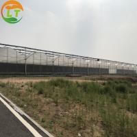 China Multi-Span Film Chinese Greenhouses Agricultural Hydroponic System and Cooling System for sale