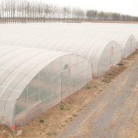 China Hot-dip Galvanized Steel Pipe Framework Tunnel Mini Garden Greenhouse for Vegetables and Flowers for sale