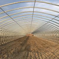China Hot-dip Galvanized Steel Pipe Framework Tunnel Mini Garden Greenhouse for Vegetables and Flowers for sale