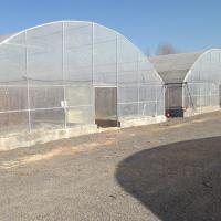 China Hot-dip Galvanized Steel Pipe Framework Tunnel Mini Garden Greenhouse for Vegetables and Flowers for sale