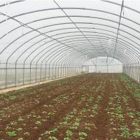 China Hot-dip Galvanized Steel Pipe Framework Tunnel Mini Garden Greenhouse for Vegetables and Flowers for sale