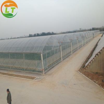 China Galvanized Square Steel Pipe Multi-span Film Greenhouse for Irrigation and Ventilation for sale
