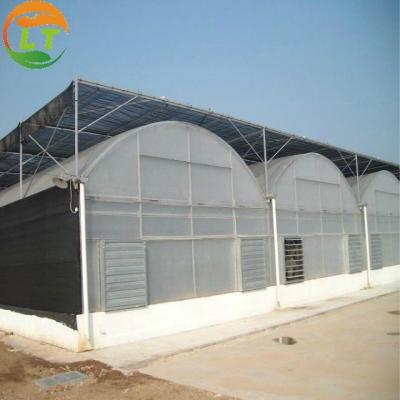 China Single Layer Film Cover Greenhouse with Excellent Insulation and Pressure Resistance for sale