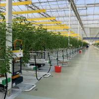 China Food Grade PVC Planting Trough for Large-Scale Hydroponic Greenhouse Growing System for sale