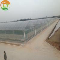 China Single Layer Film Cover Greenhouse with Excellent Insulation and Pressure Resistance for sale