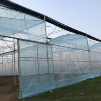 China Single Layer Film Cover Greenhouse with Excellent Insulation and Pressure Resistance for sale