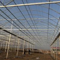 China Single Layer Film Cover Greenhouse with Excellent Insulation and Pressure Resistance for sale