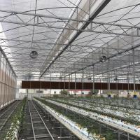 China Single Layer Film Cover Greenhouse with Excellent Insulation and Pressure Resistance for sale