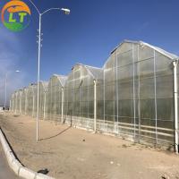 China LiTai Multi-Span Film Greenhouse 10-100m Length for Hydroponic Microgreens Harvesting for sale
