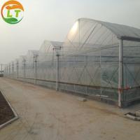 China Multi-Span Agricultural Greenhouses Durable and Snow Resistant for LiTai Greenhouse for sale