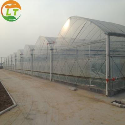 China Multi-Span Agricultural Greenhouses Durable and Snow Resistant for LiTai Greenhouse for sale