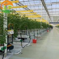 China Multi-Span Agricultural Greenhouses Durable and Snow Resistant for LiTai Greenhouse for sale