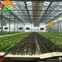 China Multi-Span Agricultural Greenhouses Durable and Snow Resistant for LiTai Greenhouse for sale