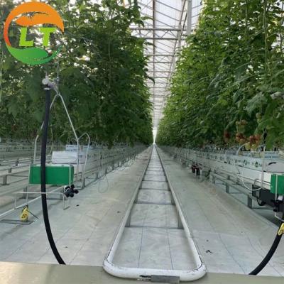 China LiTai Greenhouse Galvanized Skeleton Glass Cover Heat Preservation Thermal Insulation for sale