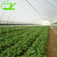 China PE Double Film Tunnel Inflatable Greenhouse for All-Weather Protection for sale