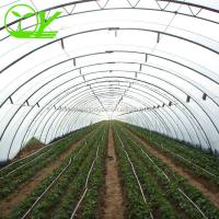 China PE Double Film Tunnel Inflatable Greenhouse for All-Weather Protection for sale