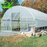 China PE Double Film Tunnel Inflatable Greenhouse for All-Weather Protection for sale